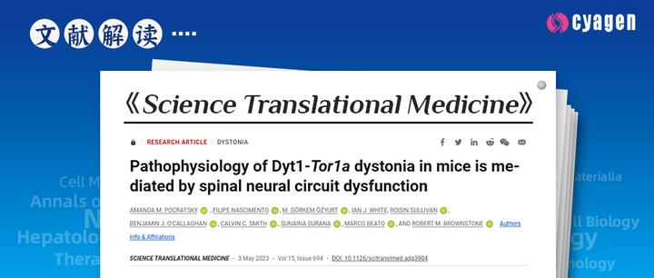 Sci Transl Med丨英国学者构建新模型来探索肌张力障碍的病理生理学 - 知乎