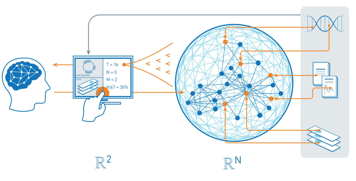 初探Explainable AI - 知乎