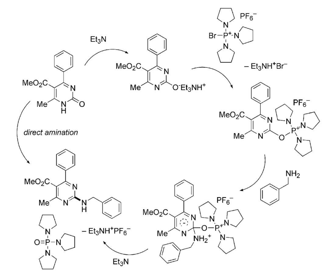 实用有机合成化学 | 如何搞定杂环羟基一步胺化？聊聊P(V)缩合剂的前世今生 - 知乎