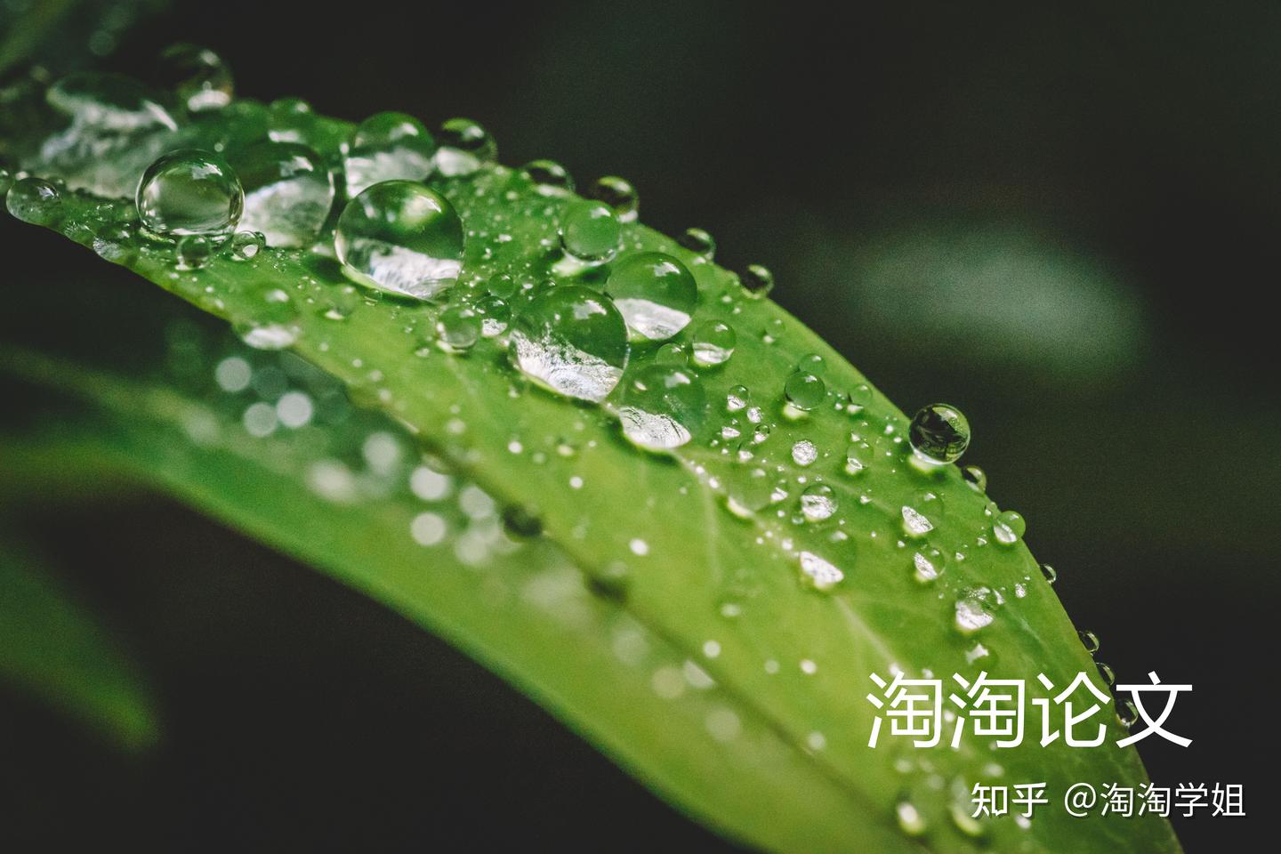 Sci投稿周几投最好？ - 知乎