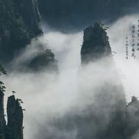 T7 Code和晶圆打标的区别 - 知乎