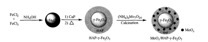 核壳状红褐色HAP-γ-Fe2O3/α-Fe2O3三氧化二铁磁性纳米粒子修饰蛋白/多肽 - 知乎