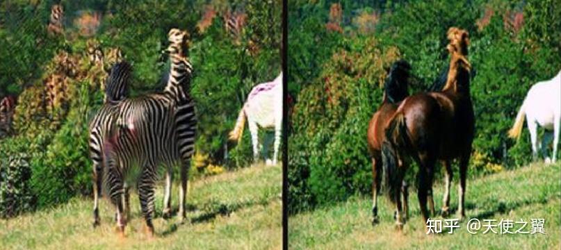 基于MindSpore的CycleGAN介绍和实现 - 知乎