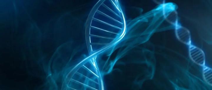 Nat Methods | 新泛基因组研究工具包PGR-TK，可在多种尺度上分析重复/临床相关复杂基因变异 - 知乎