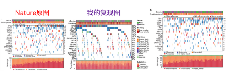 跟着Nature学作图 | 基因突变全景瀑布图OncoPrint - 知乎