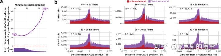 论文阅读——利用 fibertools 进行 DNA-m6A 调用和长读数表观遗传学与基因综合分析 - 知乎