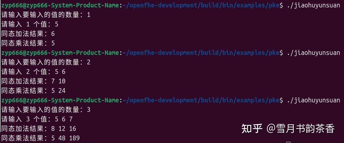 OPENFHE库学习第二天：可主动输入计算代码详解 - 知乎
