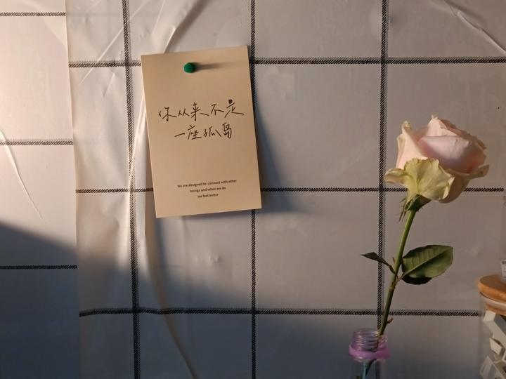 Educational Codeforces Round 141 (Rated for Div. 2) A-D - 知乎