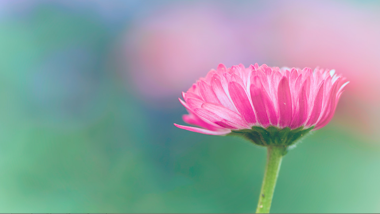 Java中MethodHandle的使用问题？ - 知乎