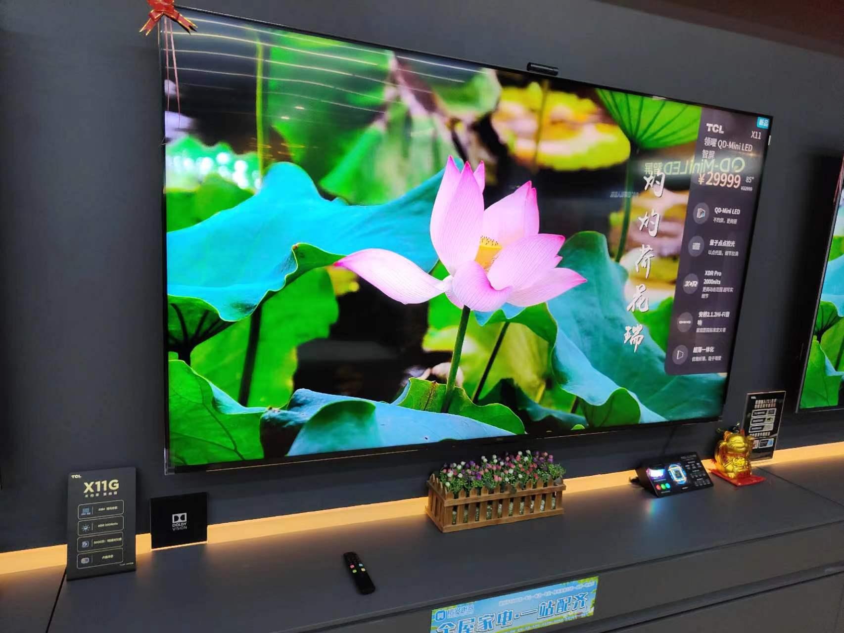 预算充足情况下，85寸电视今年618选哪款，目前圈定A90j 以及x95EL还有国产Q10G pro?