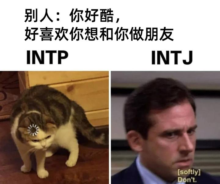 Intp与intj恋爱 知乎