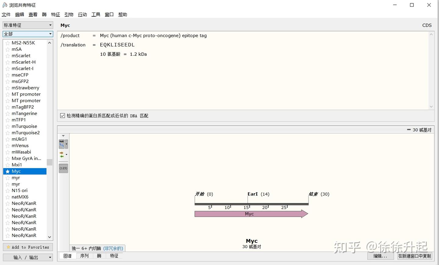 SnapGene有哪些好用的隐藏功能及快捷键 - 知乎