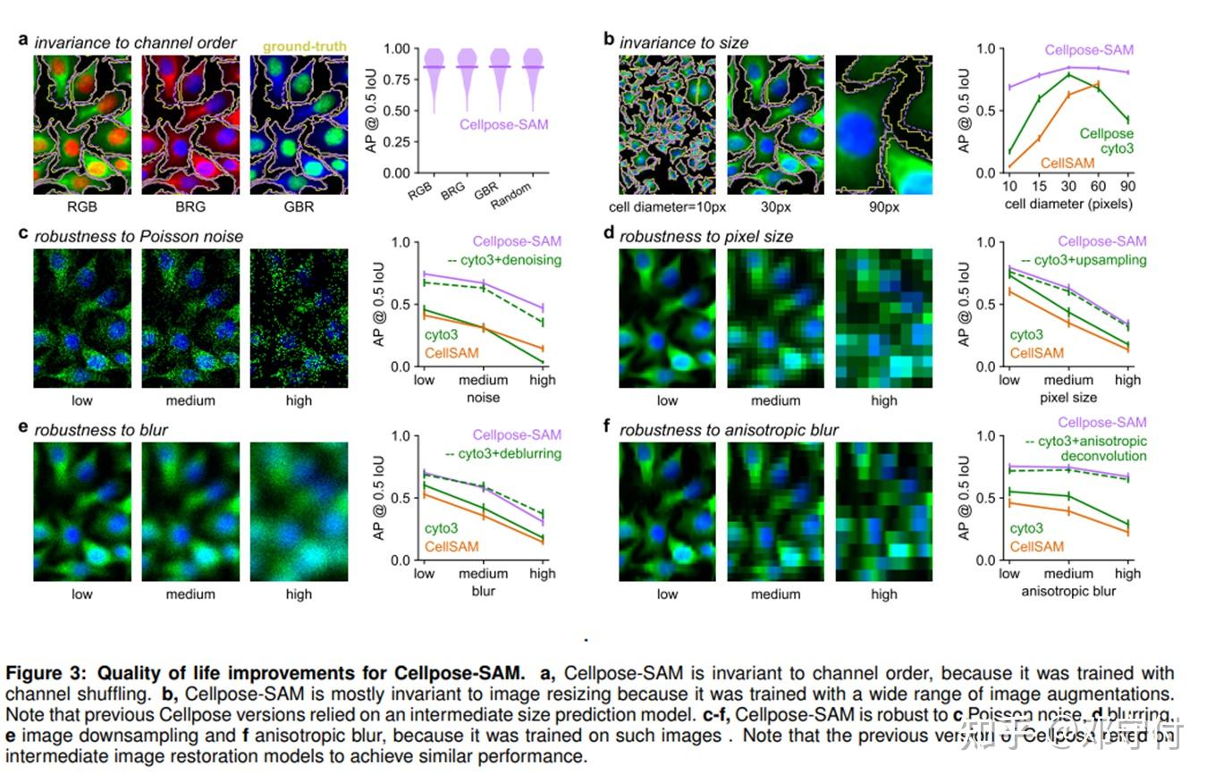 Cellpose-SAM论文自读 - 知乎