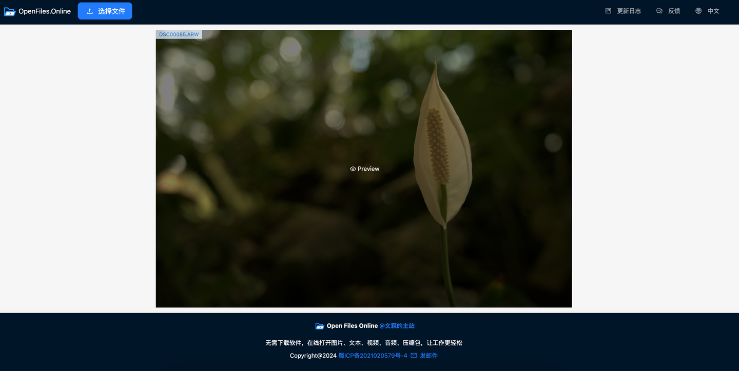 在线打开 RAW \ TIFF\ARW\CR3\NEF\RW2等相机文件 - 知乎