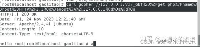 ssrf之gopher协议的使用和配置，以及需要注意的细节 - 知乎