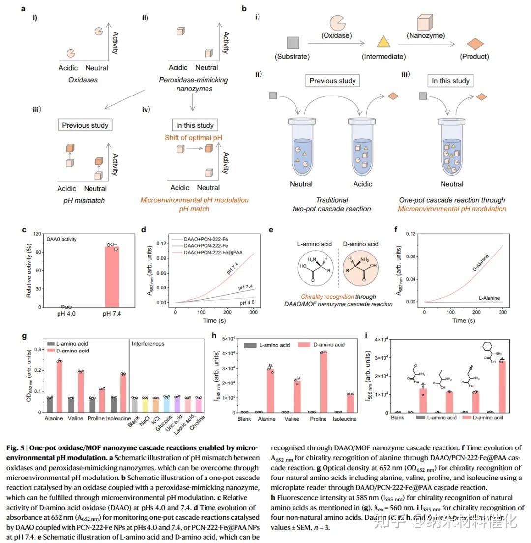 【Nat.Commun】微环境调节打破纳米酶固有的pH限制以提高其活性-南京大学魏辉教授团队 - 知乎