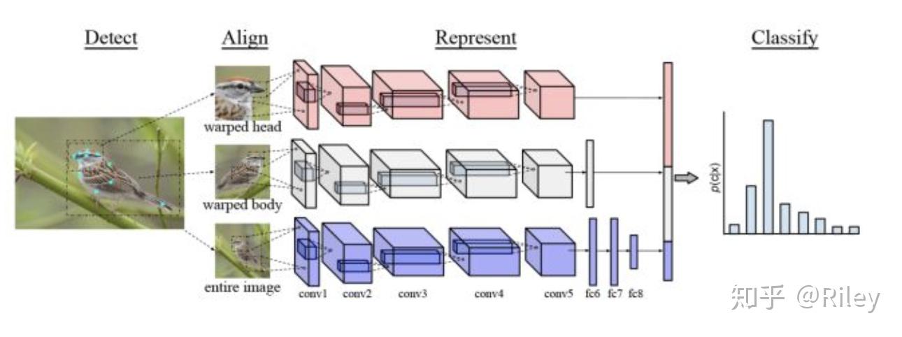 如何理解fine-grained和coarse-grained？ - 知乎