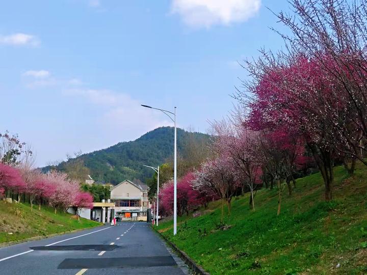 SnpEff安装使用及报错解决 - 知乎