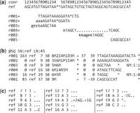 基因组质量评估：（五）mapping法：7. 用软件mosdepth统计BAM文件的深度 - 知乎