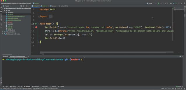 用 GoLand/VSCode 调试 Docker 内的 Go 应用 - 知乎