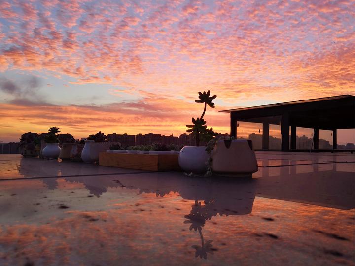 一文了解One Person Company（OPC） - 知乎