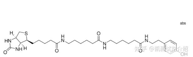 Biotin-XX-tyramide，生物素-XX-酪酰胺的使用介绍 - 知乎