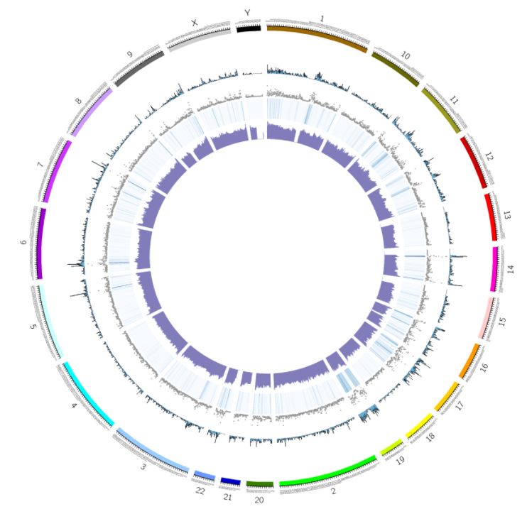 可视化指南 | 用Circos图展示复杂的基因组特征与多样化数据 - 知乎