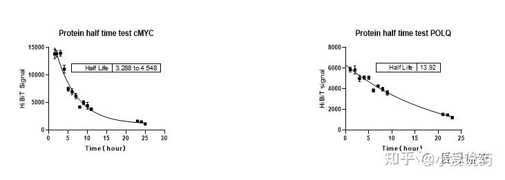 《爱求索》PROTAC平台之HiBiT - 知乎