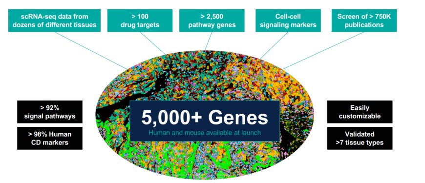 非因生物 亚细胞空间原位技术 Xenium 5K Panel知多少？ - 知乎