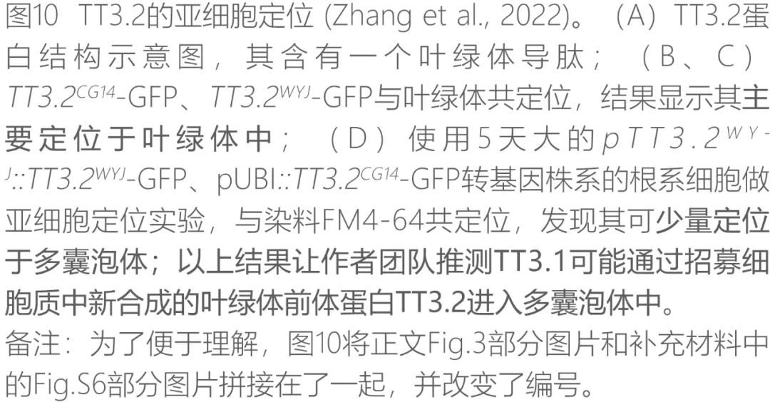 ҉热҉热҉热҉——Science顶刊揭秘热浪下的植物 - 知乎