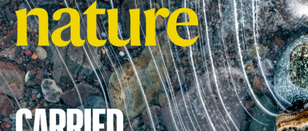 最新！2所985，发Nature - 知乎