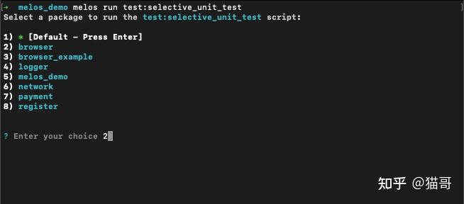 用 Melos 管理多包 Flutter 项目 - 知乎