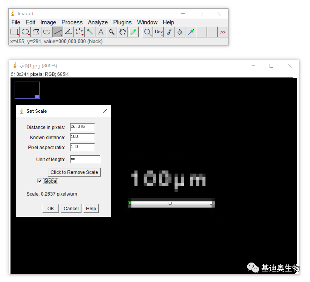 生信工具教程 | 如何用ImageJ自由调整显微照片的标尺？ - 知乎