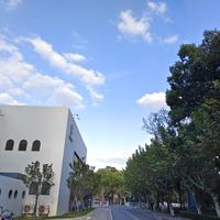 RHE SHE NHE - 知乎