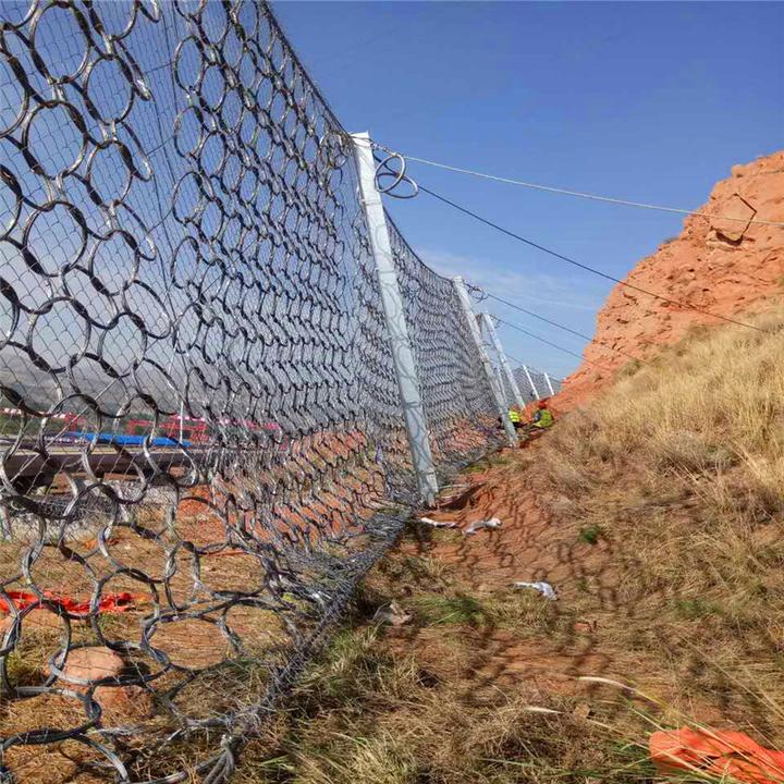 RXI-075被动环形网 - 知乎