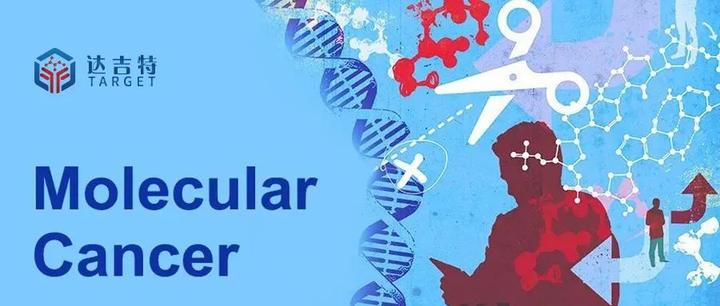 Mol Cancer（IF=41.444）：旋覆花内酯靶向E2泛素结合酶UbcH5c抑制胰腺癌生长和转移 - 知乎