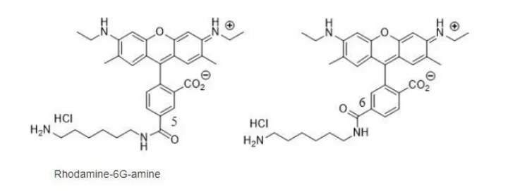 6-Rhodamine 6G amine，氨基罗丹明6G，具有黄绿色荧光性质的染料 - 知乎