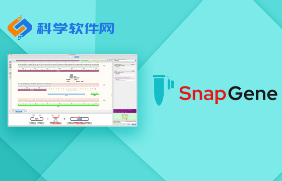 SnapGene V6.1更新啦！ - 知乎