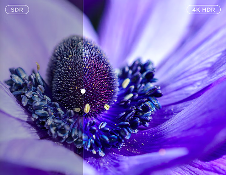 电视海信E8K和E8H区别是什么，对比哪个好 - 知乎