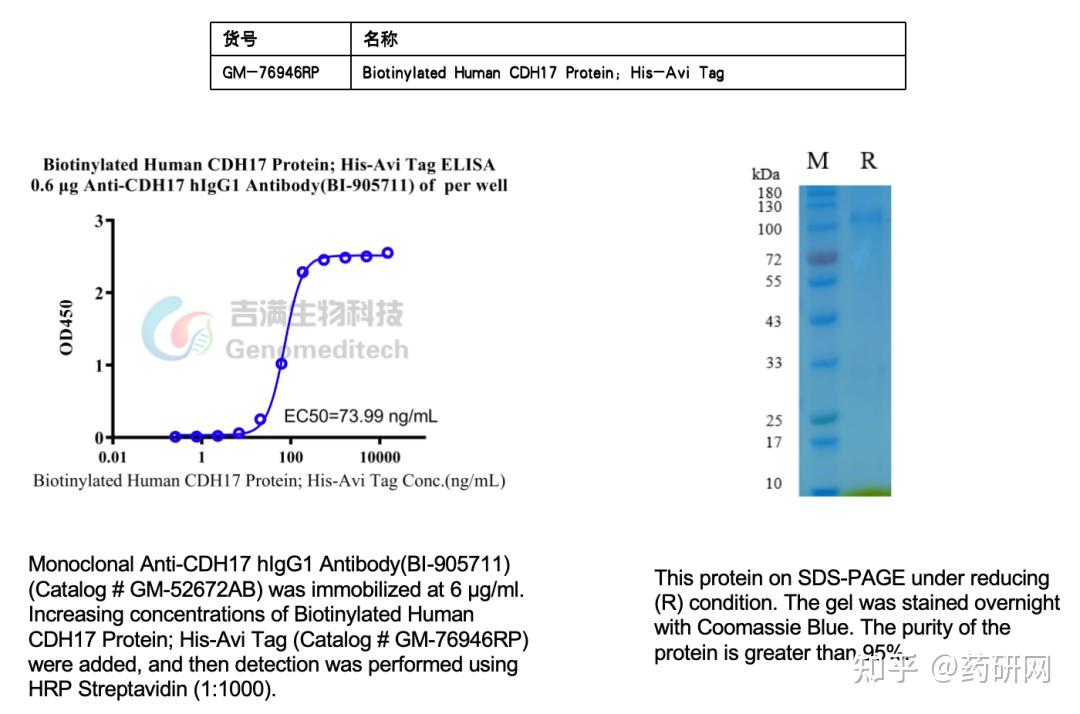 CDH17 ——消化道肿瘤靶点新星 - 知乎