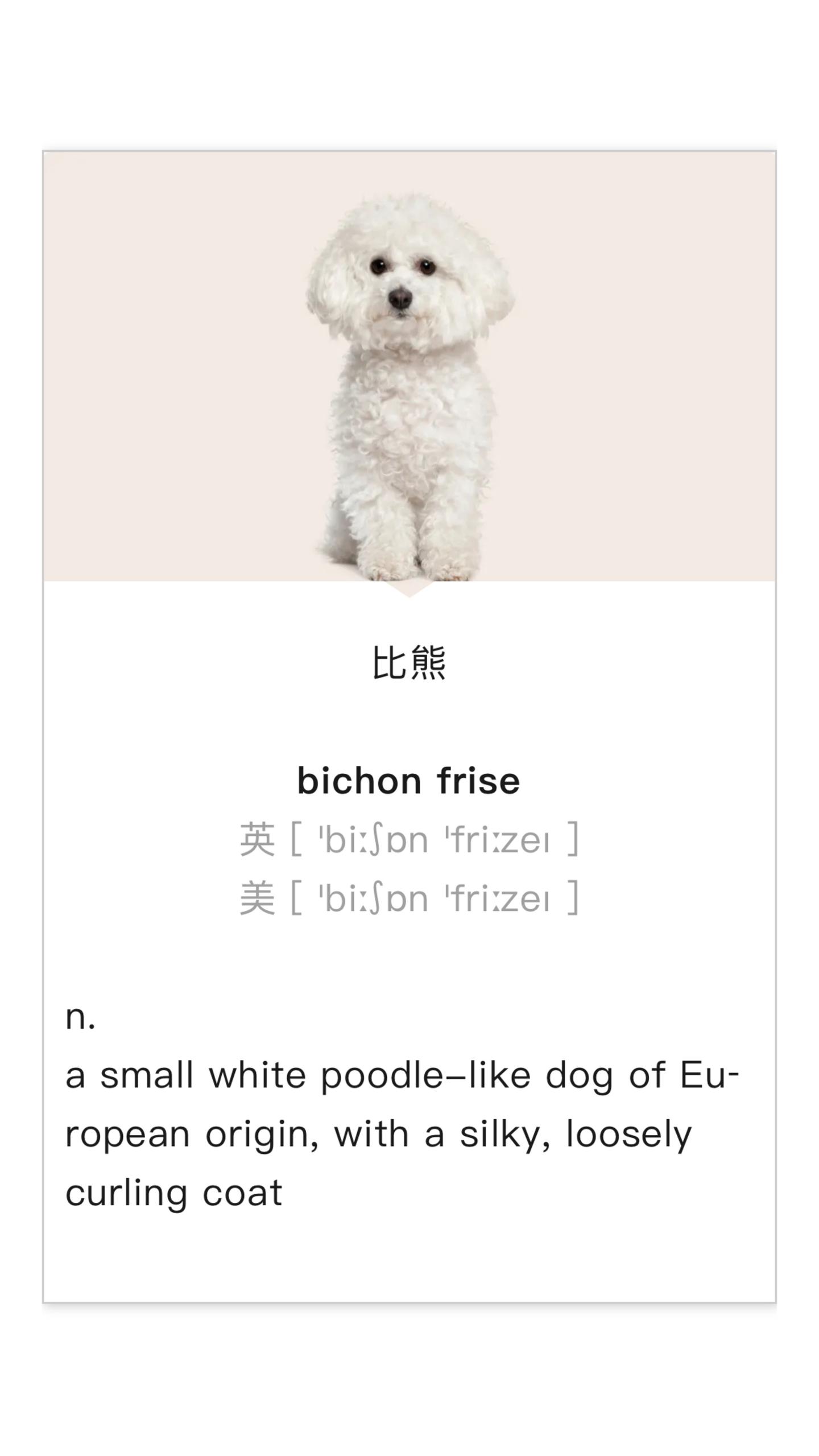 狗，还只会说“dog”？快来看看，这36个常见犬种 (dog breeds) 里，是否有你家小主？ - 知乎