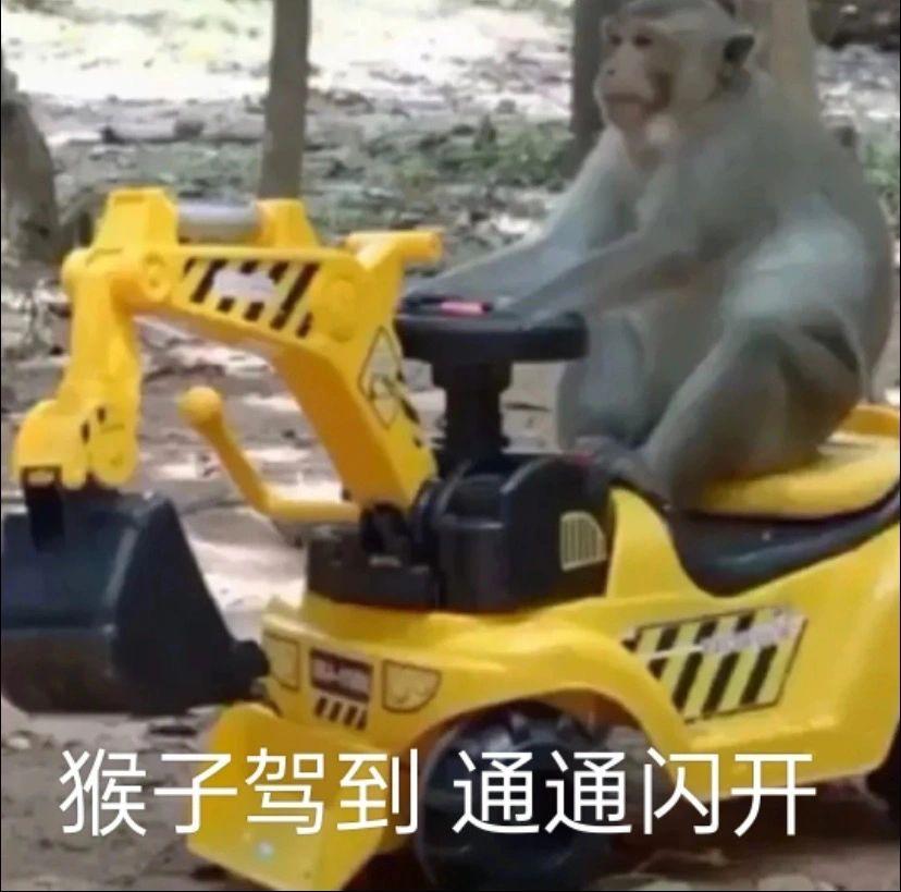 请问大家有没有猴子的表情包？ - 知乎