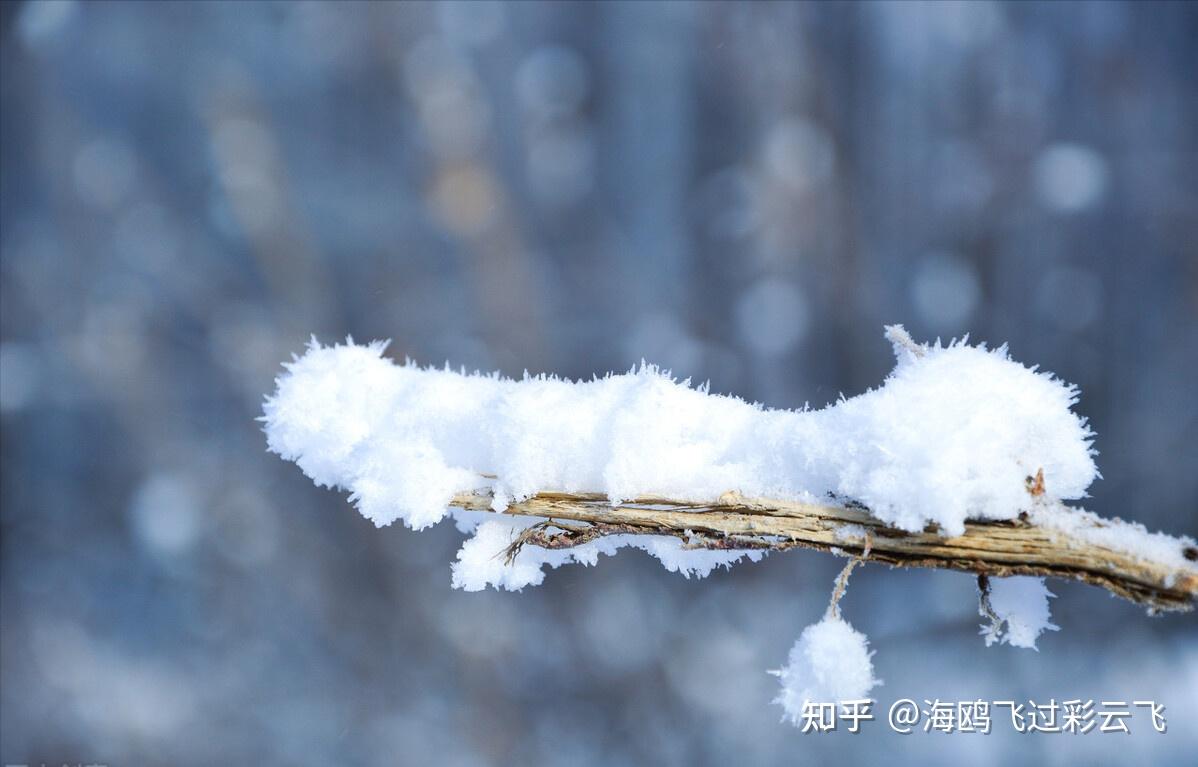 「岁暮阴阳催短景，天涯霜雪霁寒宵」描绘了一幅什么样的景色？ - 知乎
