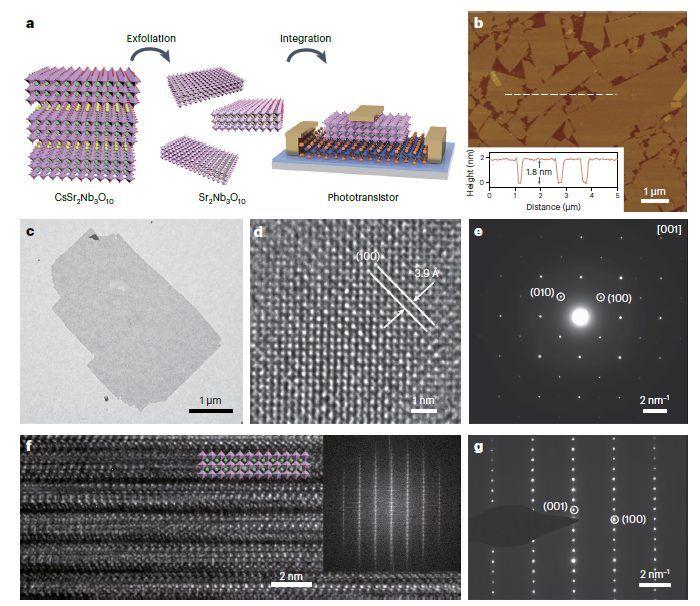 最新Nature Electronics！2D钙钛矿氧化物SNO助力高性能光电器件 - 知乎