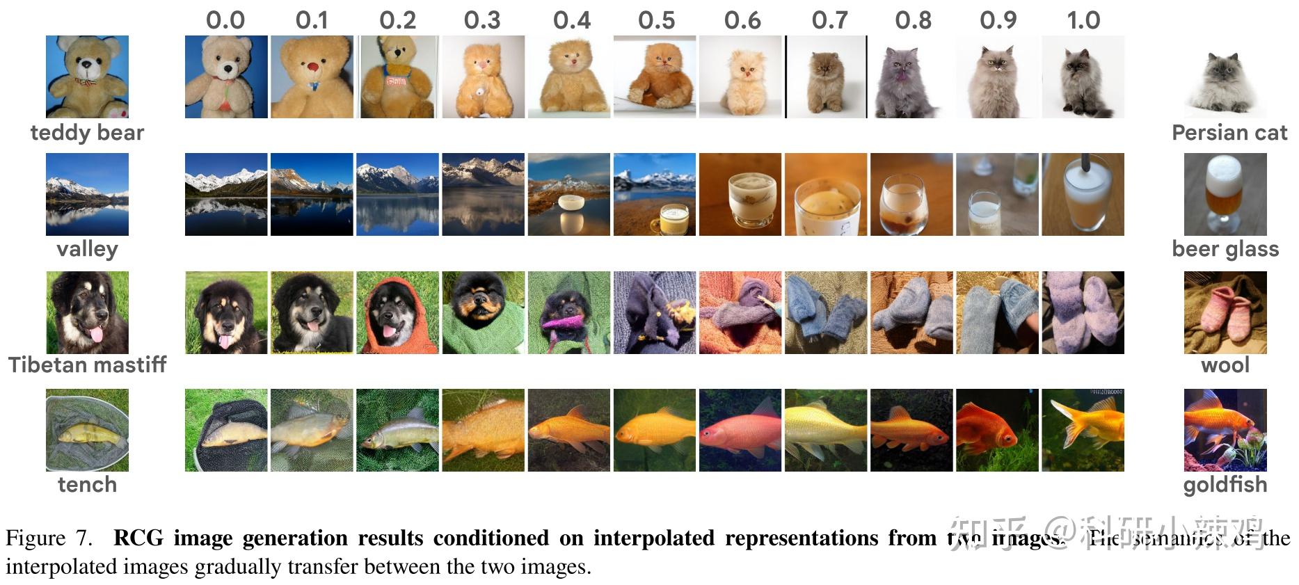 【何凯明】Self-conditioned Image Generation via Generating Representations（精读） - 知乎