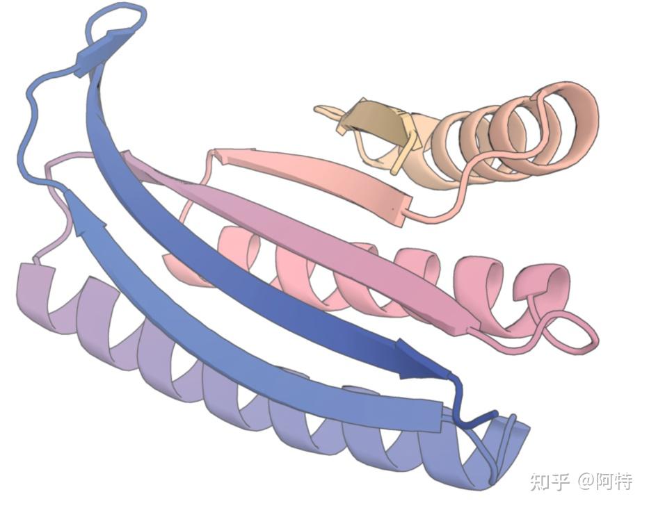 蛋白质设计工具：RFdiffusion 用法 - 知乎