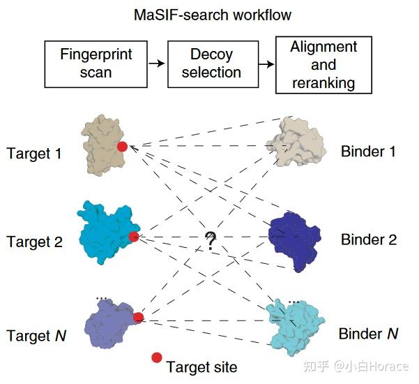 【AIDD系列】MaSIF系列论文详解，揭开蛋白表面指纹的面纱 - 知乎