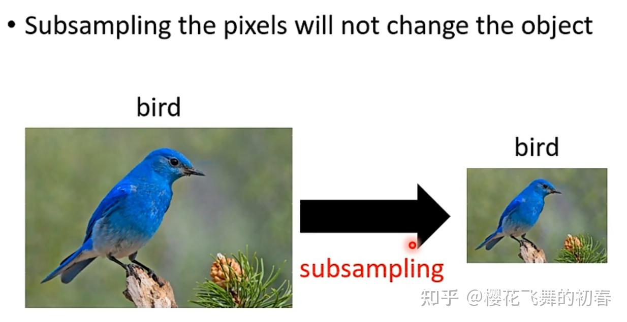 【深入浅出·李宏毅】CNN（filter, receptive field, convolutional layer, pattern） - 知乎