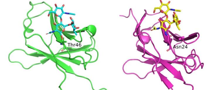 ProBiS-Fold: AlphaFold 在成药性结合位点预测方面的应用 - 知乎