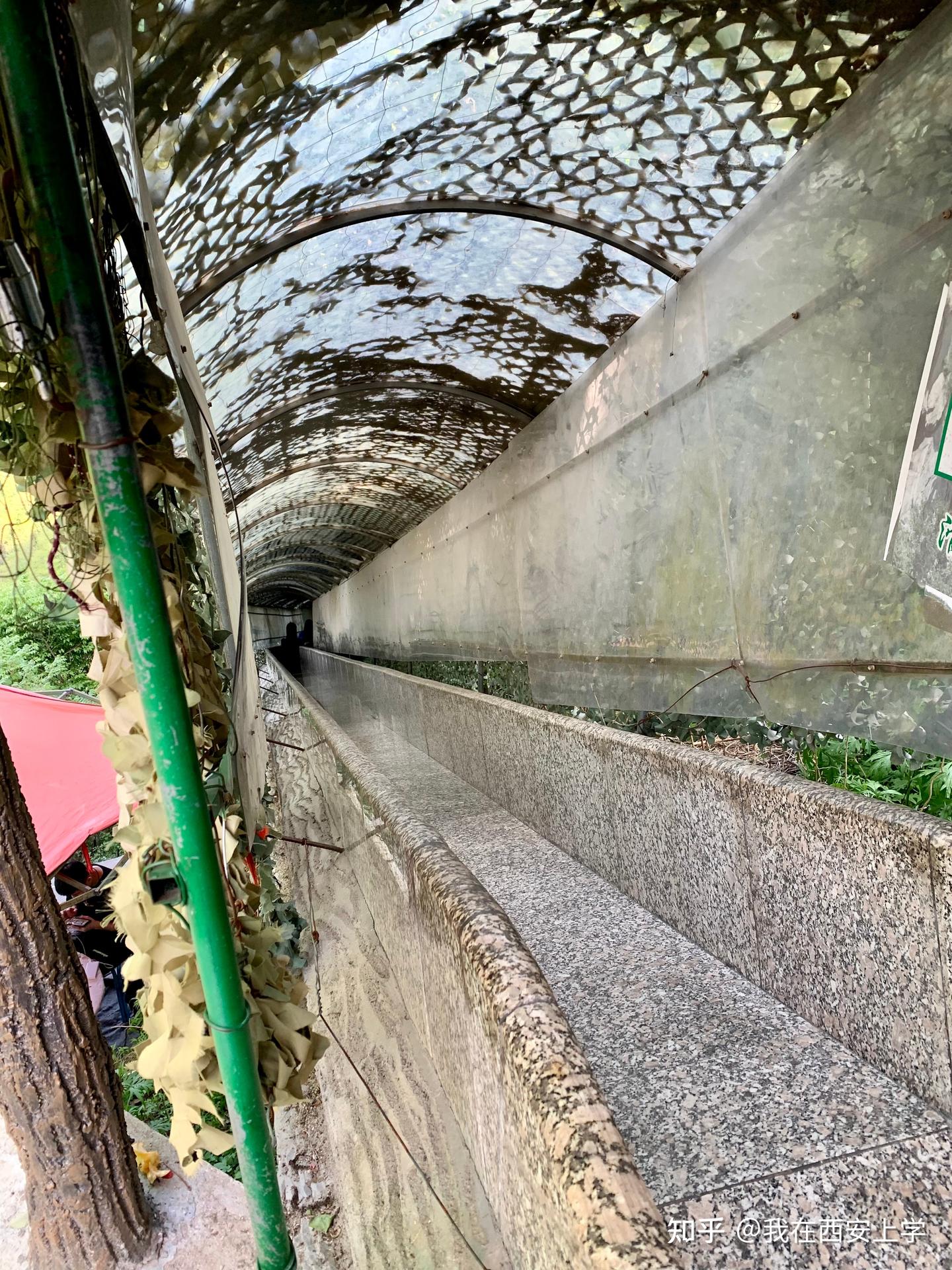 走进秦岭 | 翠华山 - 知乎